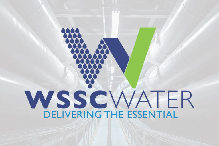 Case Studies - MGT.US